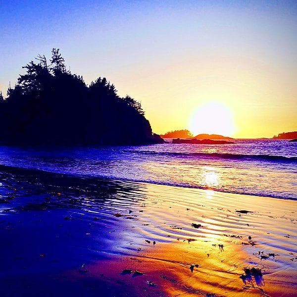 25+ Commonly Misused English Words And Phrases That Literally Make Us ...