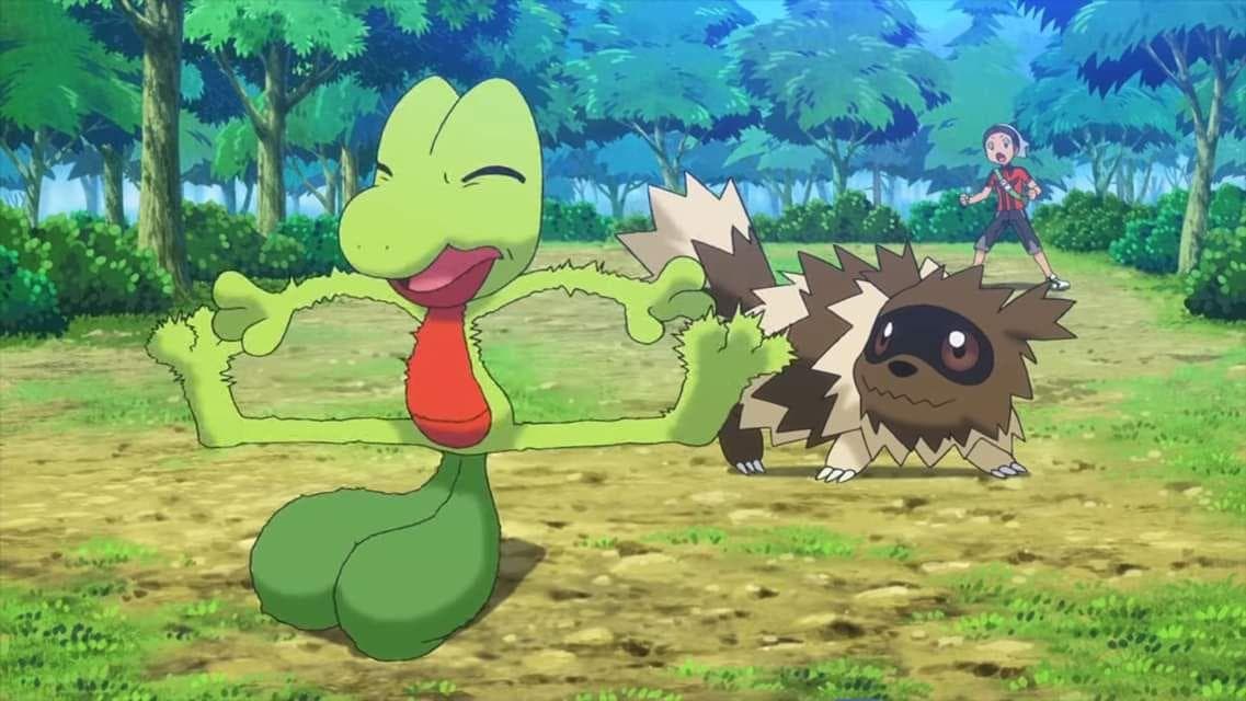 20 Interesting Things You Probably Didn't Know About Reptile Pokemon