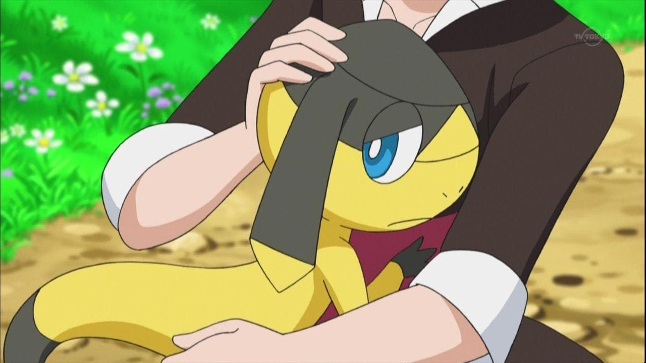 20 Interesting Things You Probably Didn't Know About Reptile Pokemon