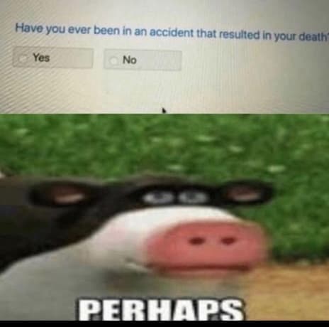 27 Times Computers Messed Up In The Funniest Possible Way