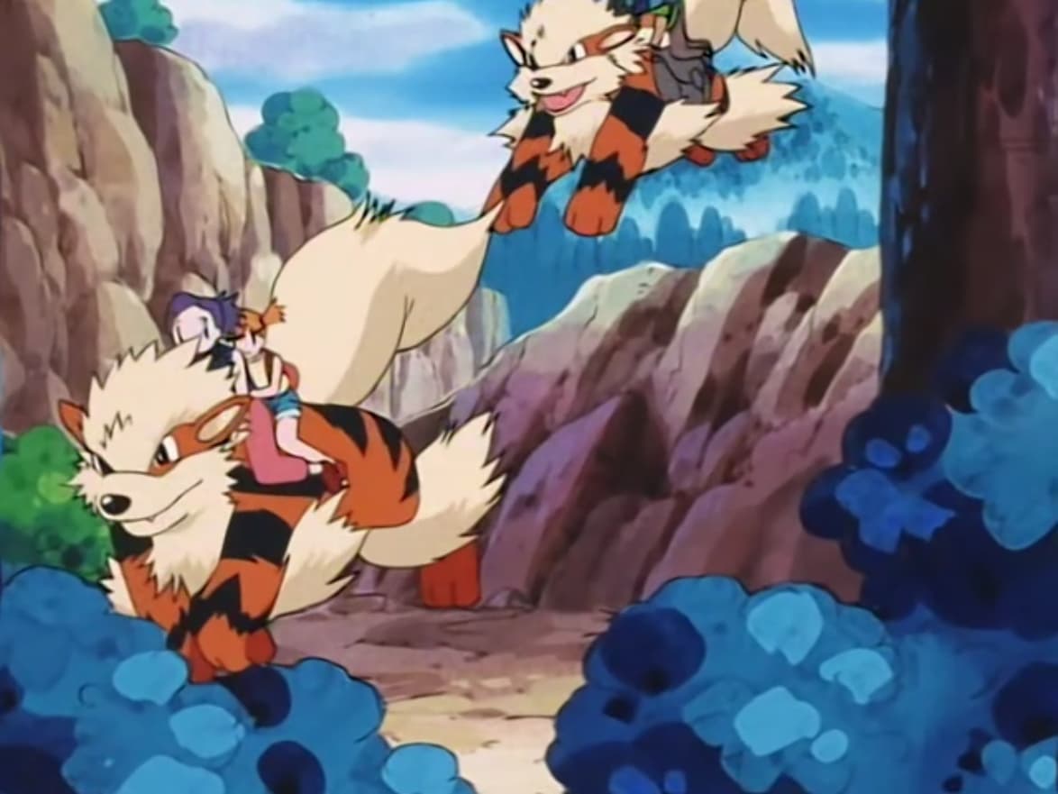20 Things You Probably Didn't Know About Dog Pokemon