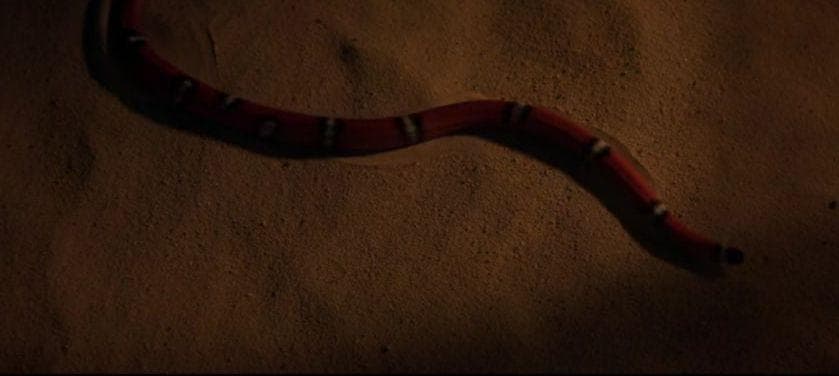 Prop And Wardrobe Details Fans Noticed In Action-Adventure Movies