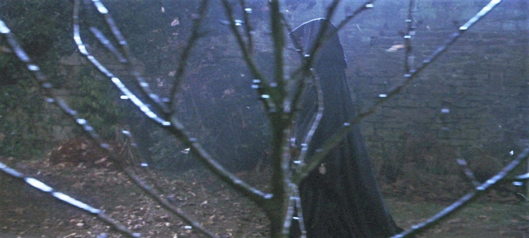 The Dark And Twisted Timeline Of Lord Voldemort