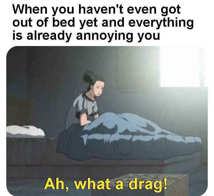 26 Hilarious Shikamaru Memes That Prove Laziness Is A Virtue