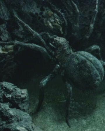 Things You Didn’t Know About The Monsters Of Middle-earth