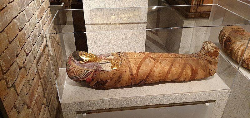Small Details About Egyptian Mummies That Are Totally Fascinating
