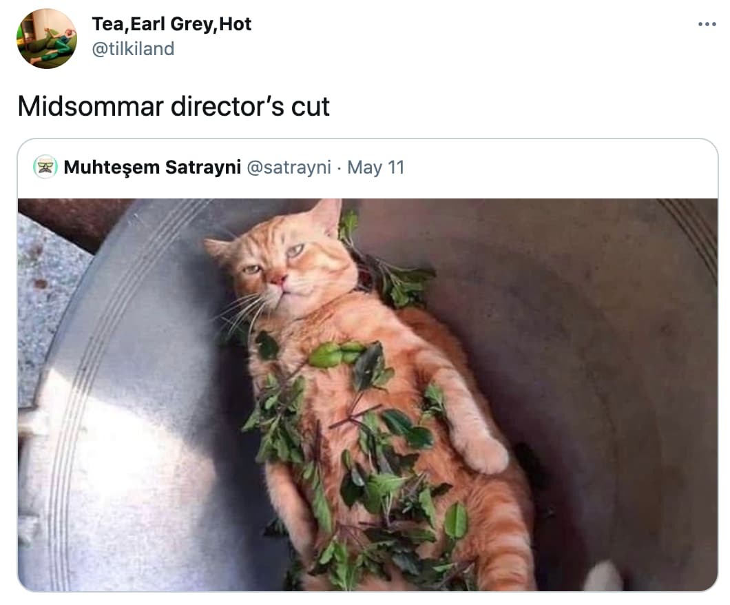 31 Pretty Funny Memes That Only A24 Fans Will Understand