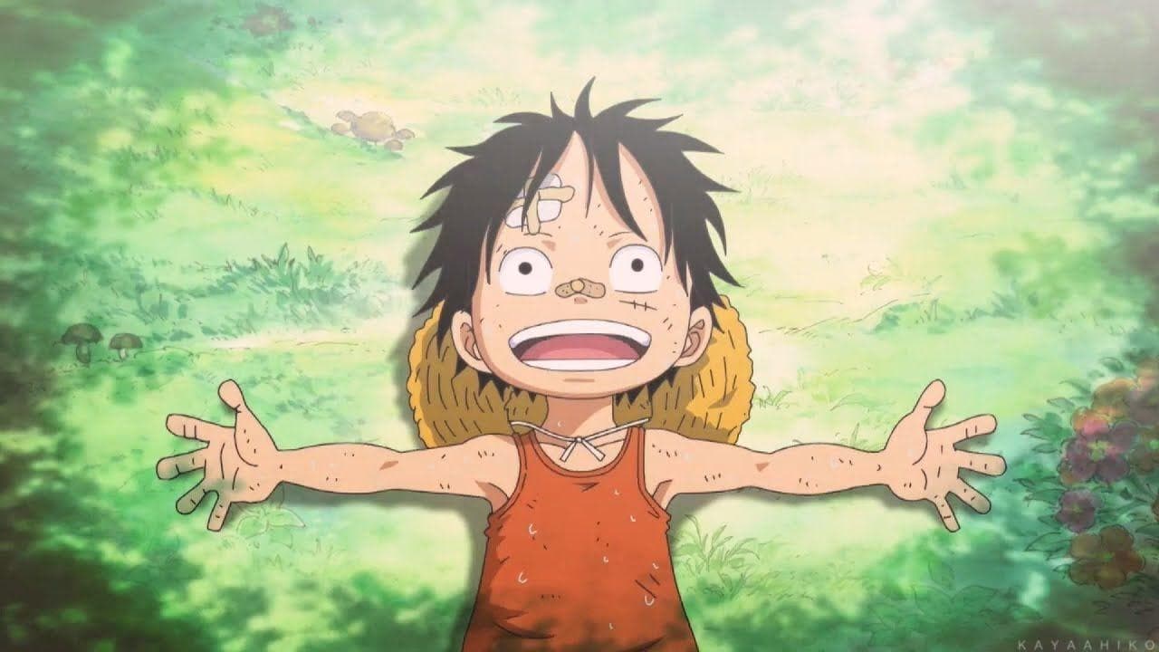 15 Things You Didn't Know About Monkey D. Luffy