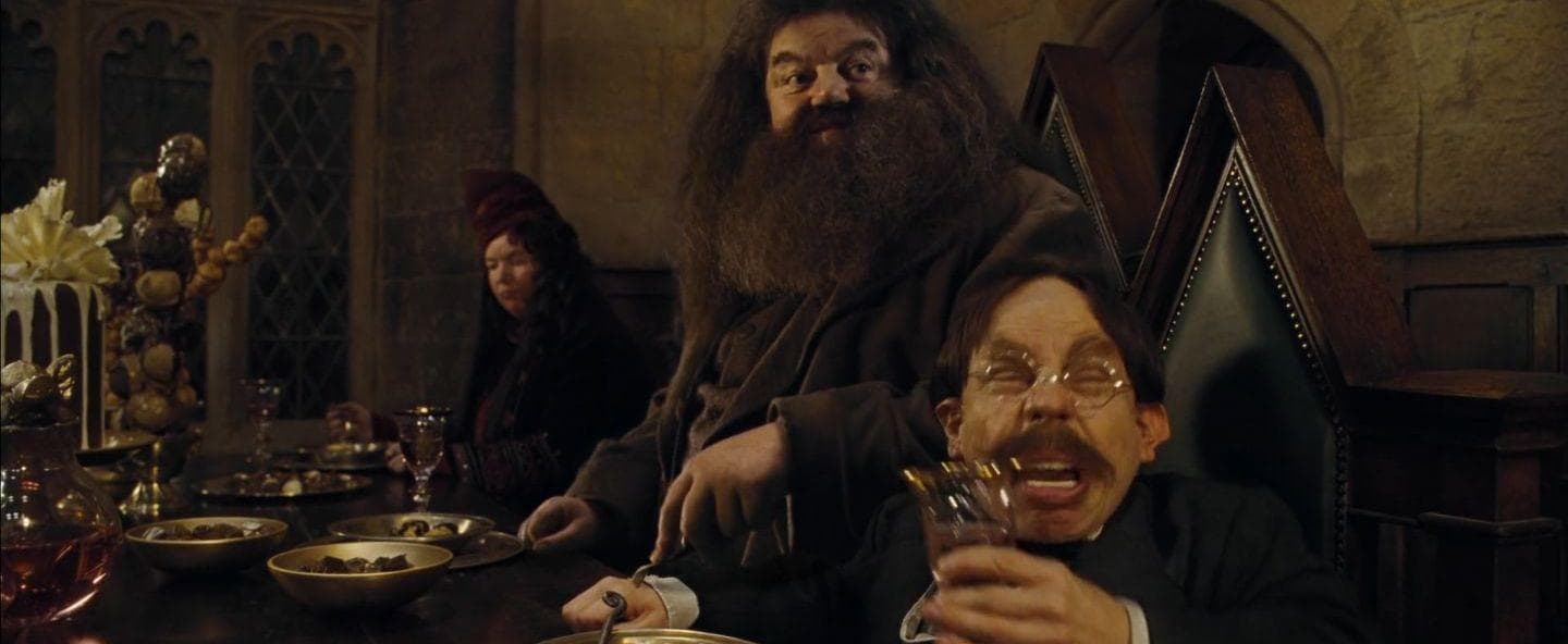 Weapons And Combat Details Fans Noticed In Harry Potter