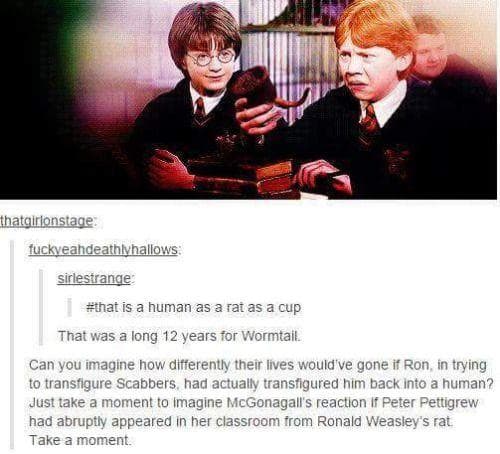 Fans Are Pointing Out Details About The Creatures Of 'Harry Potter'