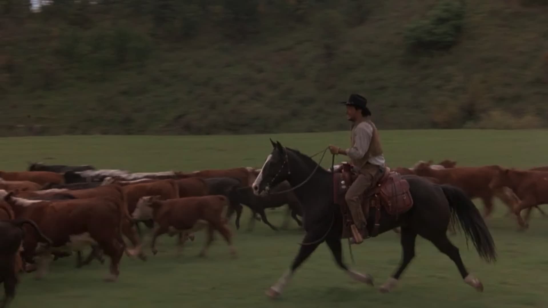 9 Behind-The-Scenes Stories From 'City Slickers'