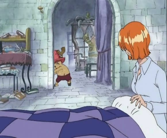 15 Things You Didn't Know About Nami From One Piece