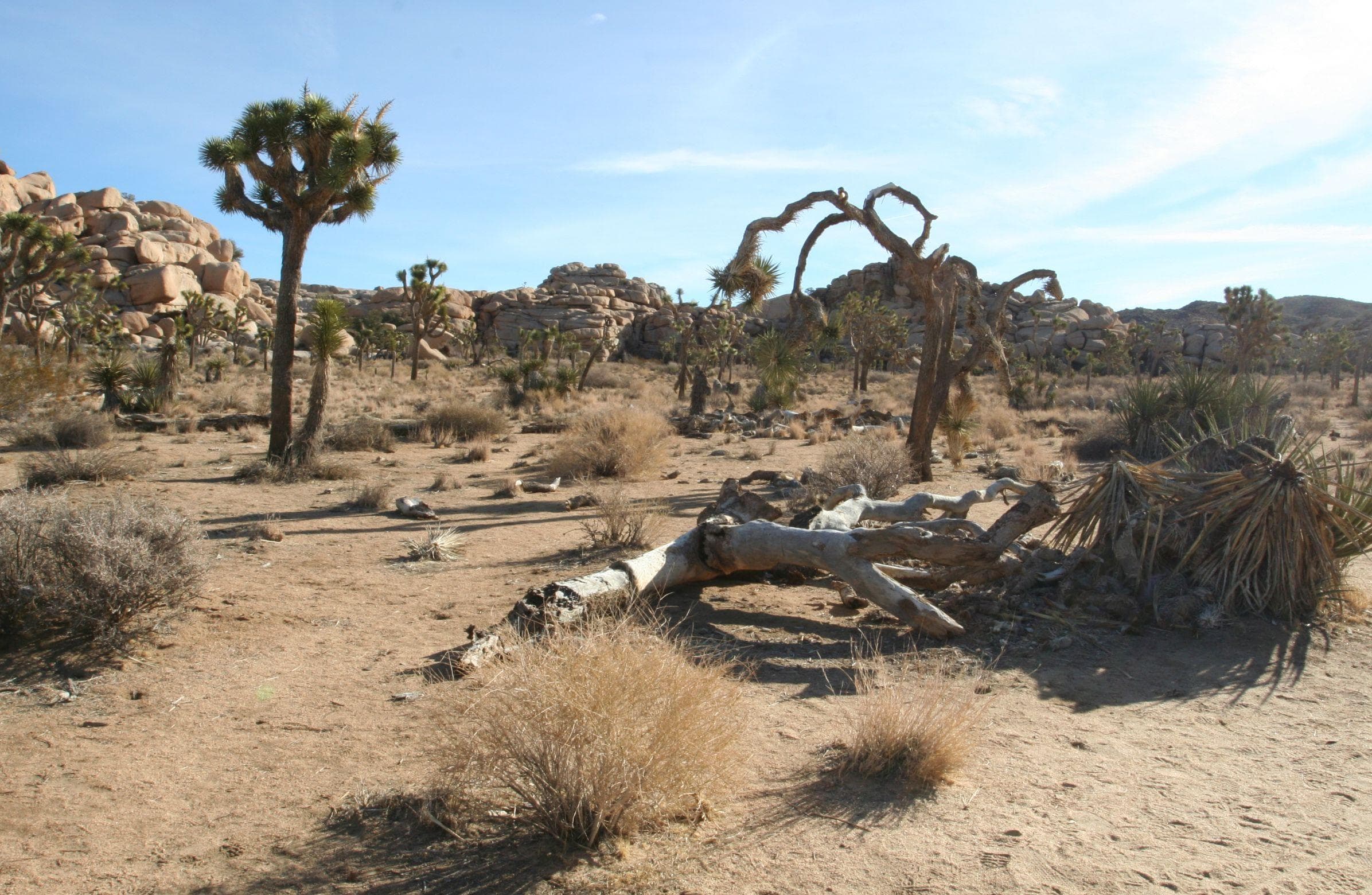 Little Known Mysteries That Finally Have Answers