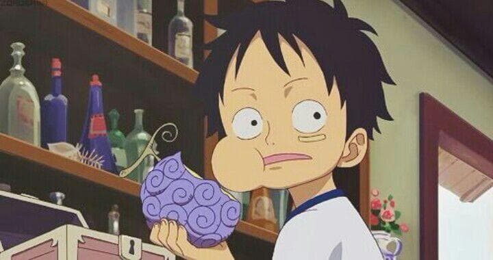 20 Mind-Blowing Facts About Devil Fruits In 'One Piece' You Probably ...