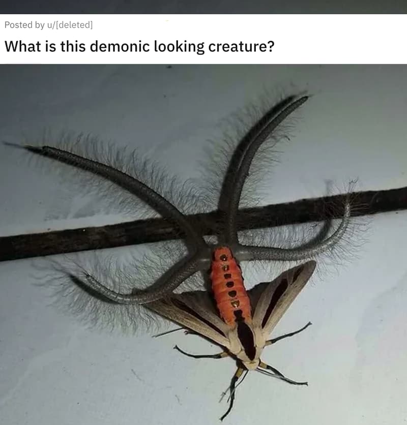 People Are Asking For Help Identifying Weird Objects They Found And The ...