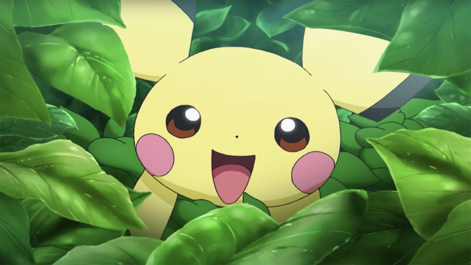 20 Interesting Things You Didn't Know About Baby Pokemon