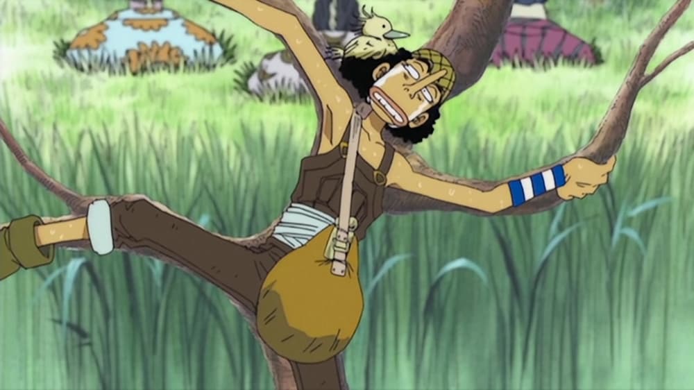 15 Things You Didn't Know About Usopp In One Piece