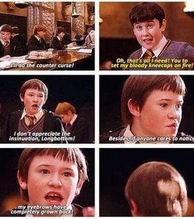 13 Memes About Dean Thomas And Seamus Finnigan That Prove They're The ...
