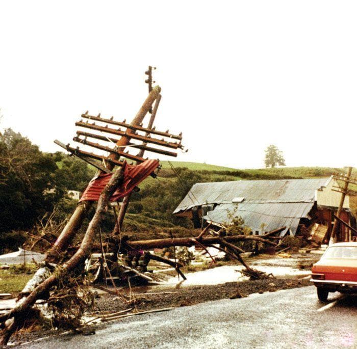 13 Stories From Natural Disasters That Lift Our Spirits