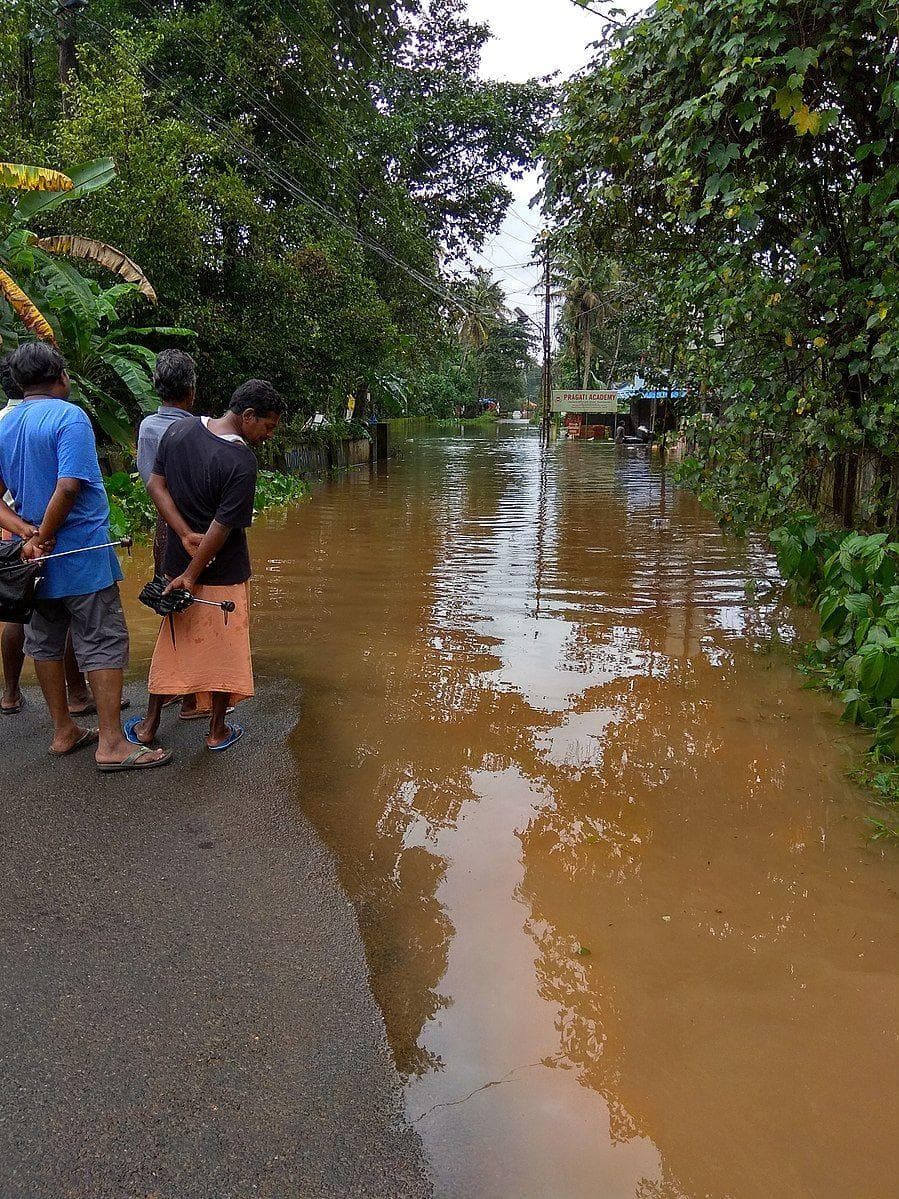 13 Stories From Natural Disasters That Lift Our Spirits