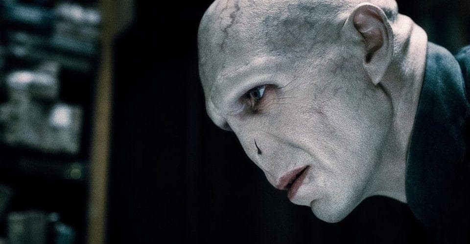 Fans Point Out Details About Voldemort That We Never Realized Before