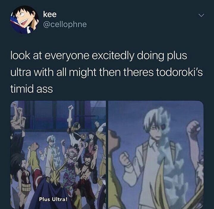25 Hilarious Todoroki Memes That Are Plus Ultra Funny