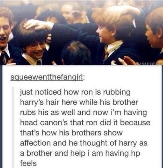 Fans Point Out Details About The Weasley Family That We Never Noticed ...