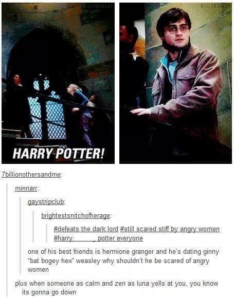 Fans Are Pointing Out Hilarious Things They Noticed About 'Harry Potter'