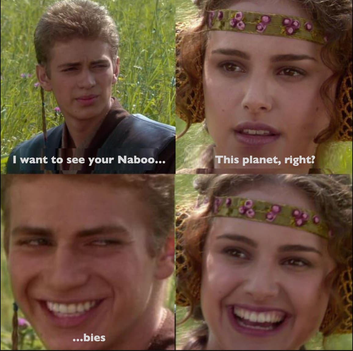21 Anakin & Padmé Memes That Hate Sand... They Hate Sand, Right?