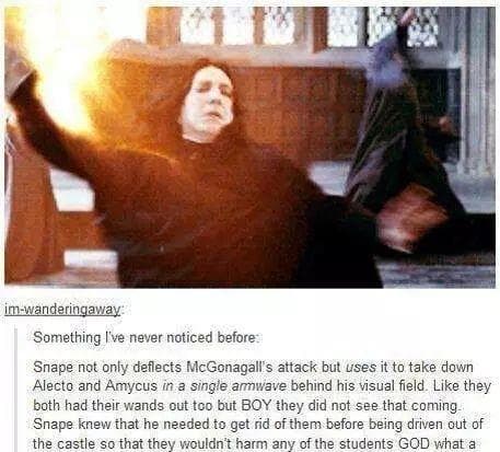Fans Are Pointing Out Heartbreaking Things They Noticed About Snape