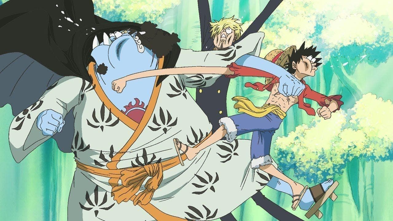 15 Things You Didn't Know About Jinbei In 'One Piece'