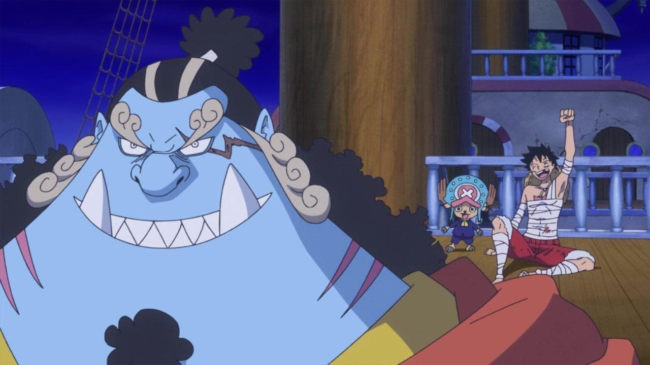 15 Things You Didn't Know About Jinbei In 'One Piece'