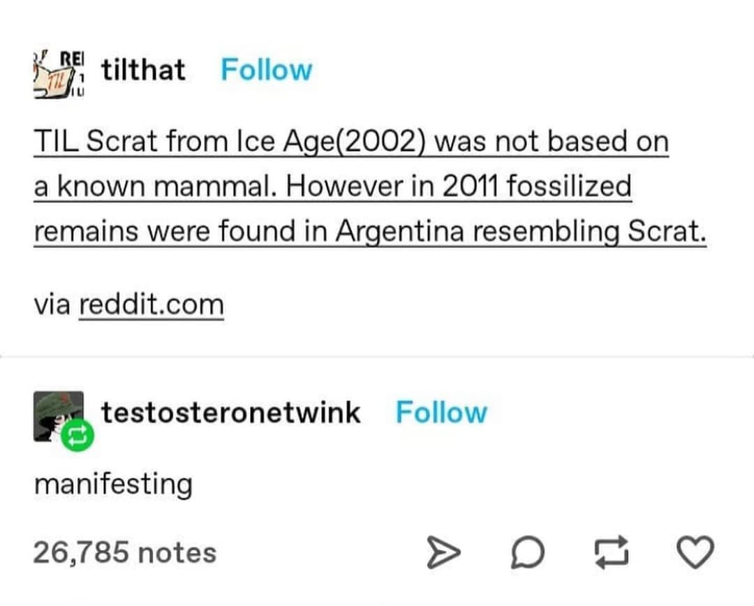 20 Random Tumblr Posts We Saw This Month That Are Actually Really Good