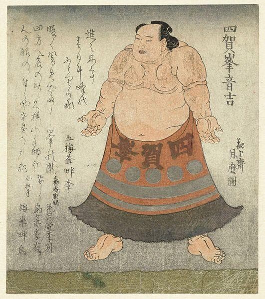 11 Facts About Sumo Wrestling That Made Us Say 'Really?'