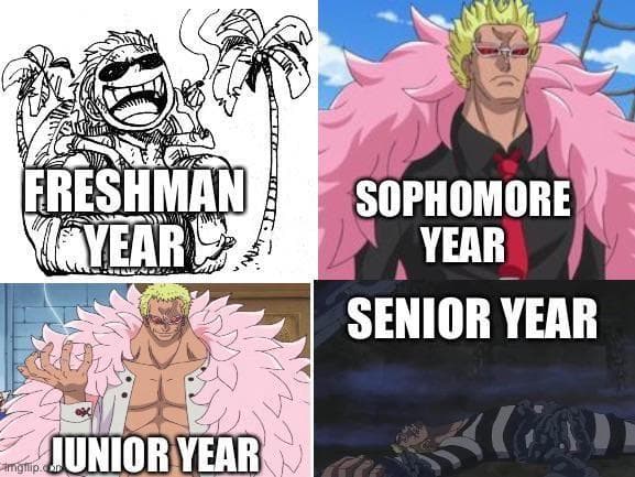 17 Memes About 'One Piece' Villains That Made Us Laugh Like Blackbeard