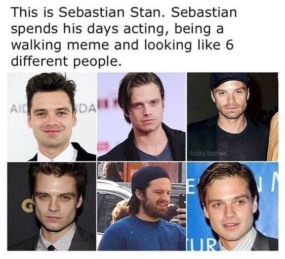 Fans Are Pointing Out Something About Sebastian Stan We Never Noticed