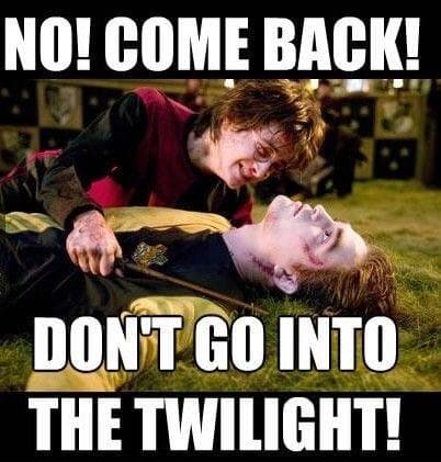 15 Cedric Diggory Memes That Remind Us Why He’s Our Favorite Hufflepuff