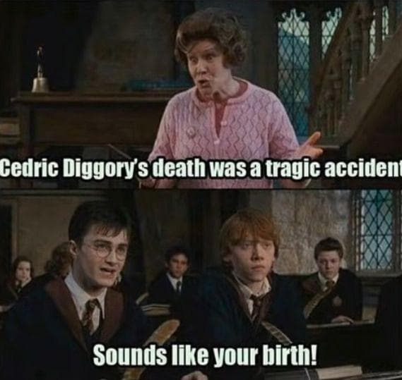 15 Cedric Diggory Memes That Remind Us Why He’s Our Favorite Hufflepuff