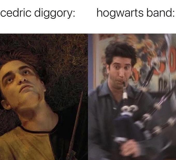 15 Cedric Diggory Memes That Remind Us Why He’s Our Favorite Hufflepuff