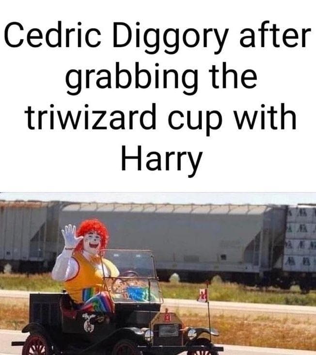 15 Cedric Diggory Memes That Remind Us Why He’s Our Favorite Hufflepuff