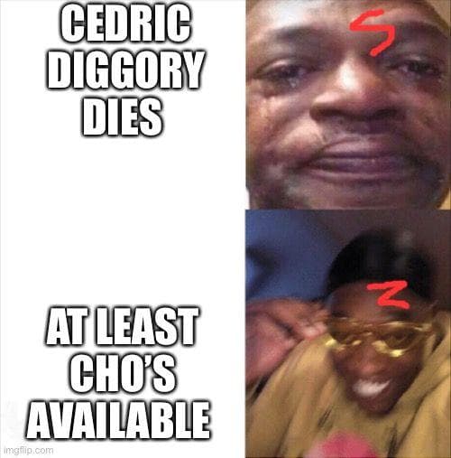 15 Cedric Diggory Memes That Remind Us Why He’s Our Favorite Hufflepuff