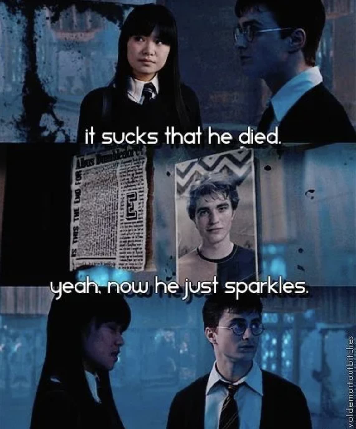 15 Cedric Diggory Memes That Remind Us Why He’s Our Favorite Hufflepuff