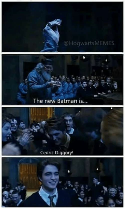 15 Cedric Diggory Memes That Remind Us Why He’s Our Favorite Hufflepuff