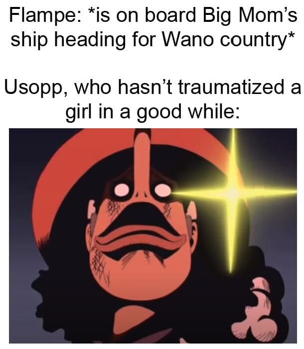 24 Straw Hat Memes That Made Us Laugh Way Too Hard