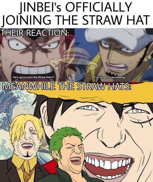 24 Straw Hat Memes That Made Us Laugh Way Too Hard
