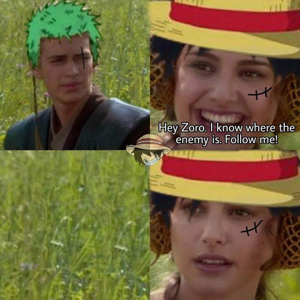 24 Straw Hat Memes That Made Us Laugh Way Too Hard