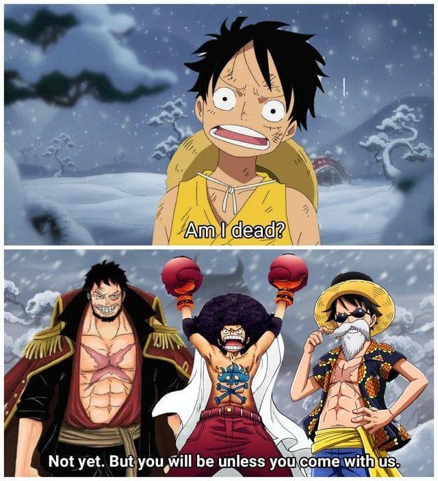 24 Straw Hat Memes That Made Us Laugh Way Too Hard