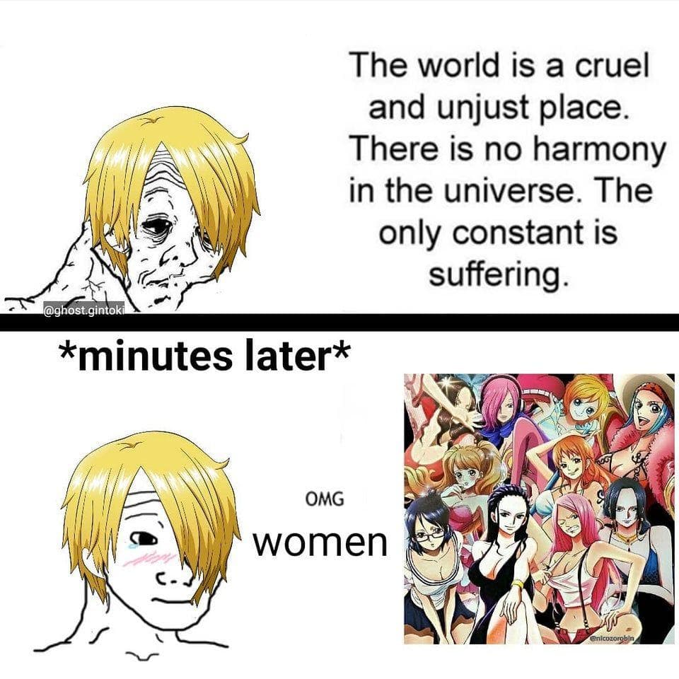 24 Straw Hat Memes That Made Us Laugh Way Too Hard