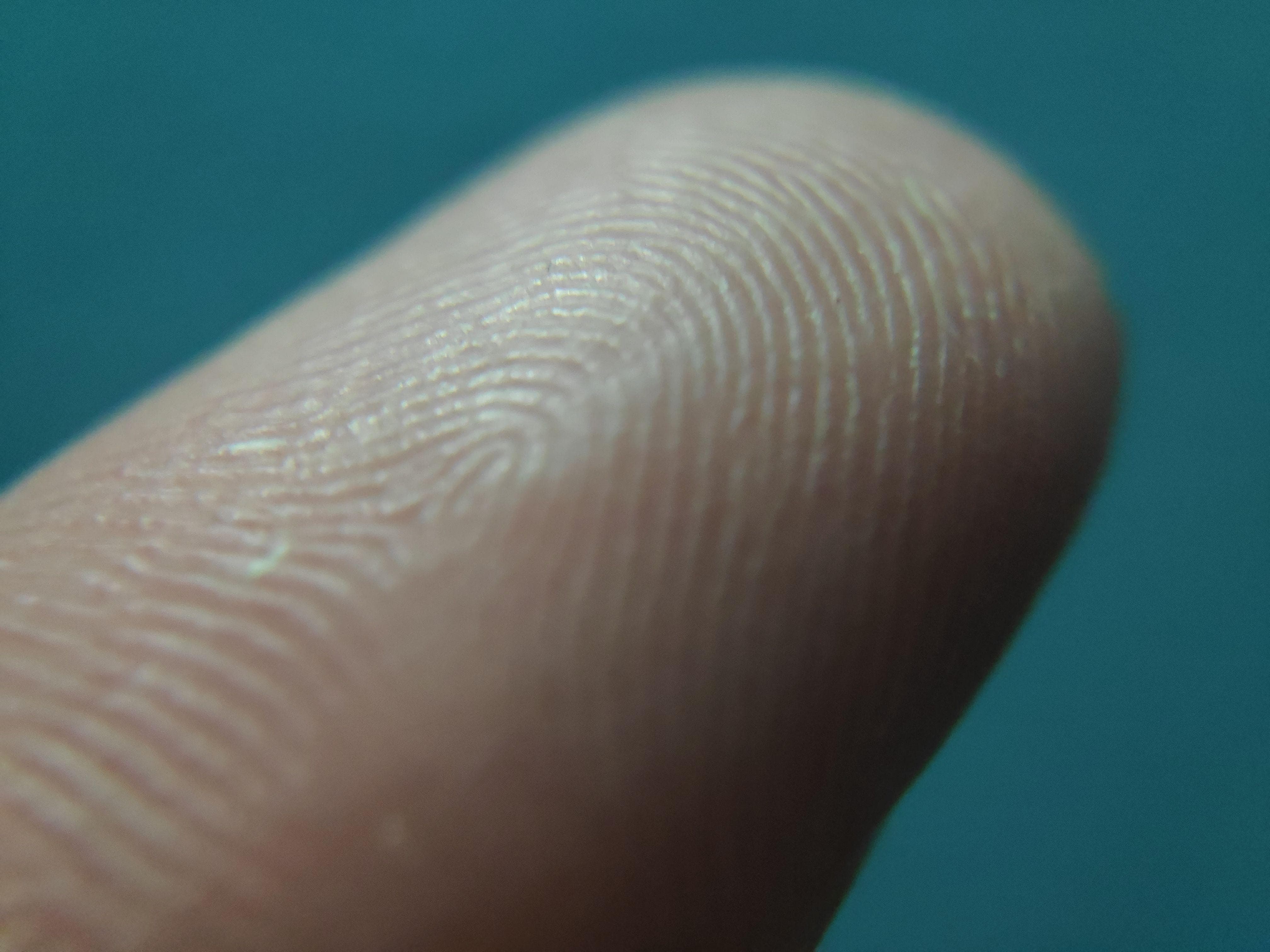 Why People Actually Look The Way They Do