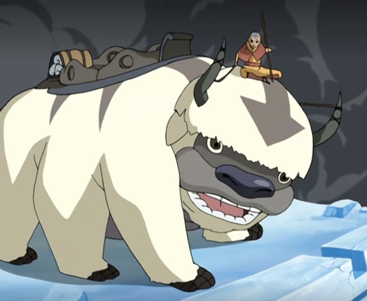 Ranking Every 'Appa, Yip Yip' From 'Avatar: The Last Airbender'